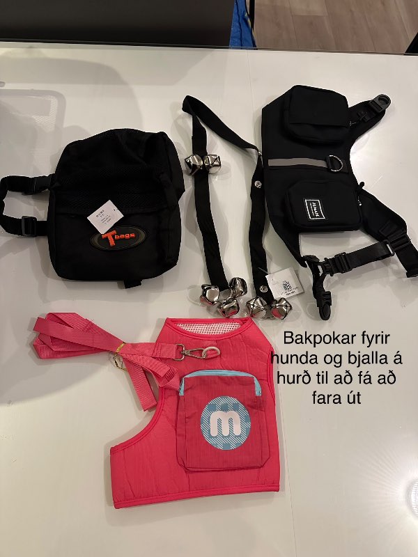 Svartur bakpoki með beisli hunda endurskin – Gullið mitt